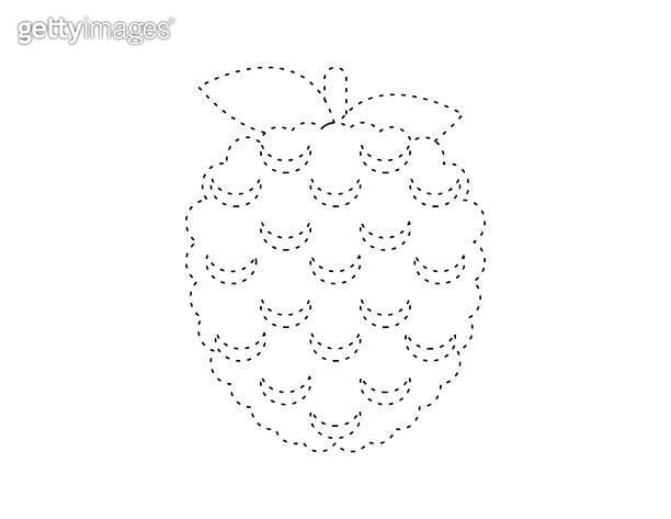 dashed lychee outline for coloring book template, lychee for kids ...