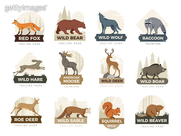 Animal labels. Badges with illustrations of different wild animals ...