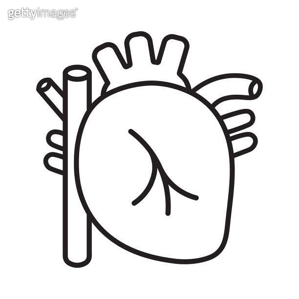 Human heart vector illustration. Minimalistic icon. Internal organs ...