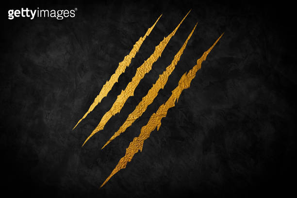 Gold scratch symbol of a big predator on a black abstract background ...