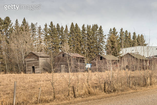 Rustic out buildings dot the countryside Red Deer County Alberta Canada ...