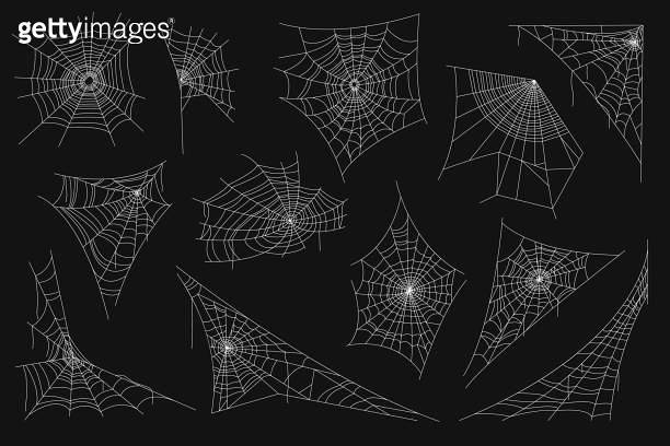 Hand drawn cobwebs. Various shapes Halloween spider webs. Gothic ...