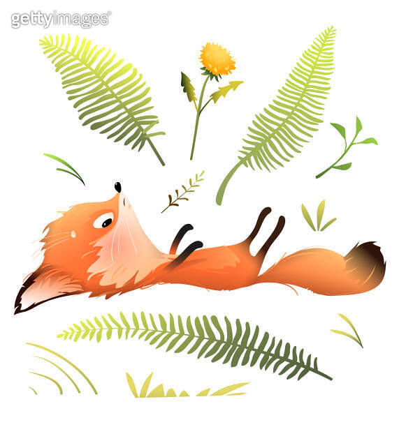 Funny Playful Fox Laying in Forest Animal for Kids 이미지 (2112821195 ...