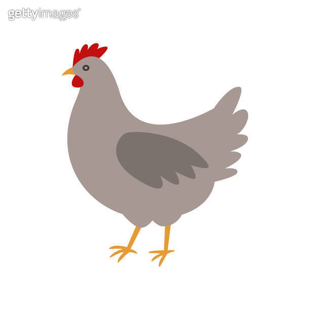 Brown chicken, vector illustration of hen. 이미지 (1909178320) - 게티이미지뱅크