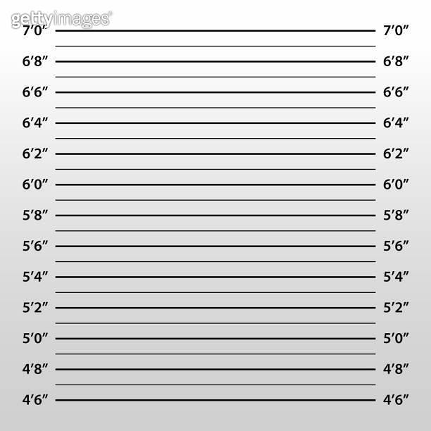 Police Mugshot Template - Lineup Mugshot Background - Shot Up Photo for ...