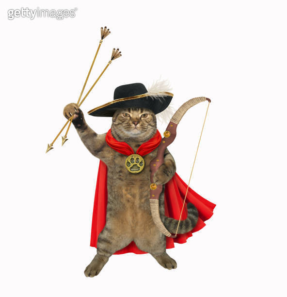 Cat in red cloak with bow and arrows 이미지 (2159126570) - 게티이미지뱅크