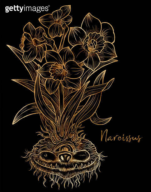 Hand drawn styled illustration with engraved funny demon or gnome face ...