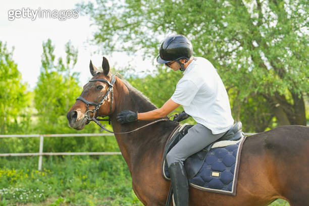 horse loving man rider 이미지 (2155473991) - 게티이미지뱅크