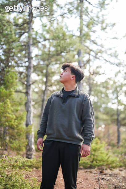 young man standing in front of pine trees in the forest looking at ...