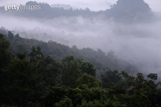Beautiful sunrise in morning sky with mist and foggy in valley of layer ...