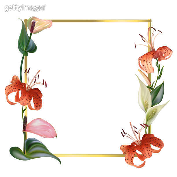 Tiger lily. Floral background. Golden square frame decorated with ...