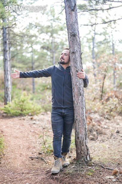 man looking at nature hugging pine tree in forest 이미지 (2027486435) - 게티 ...