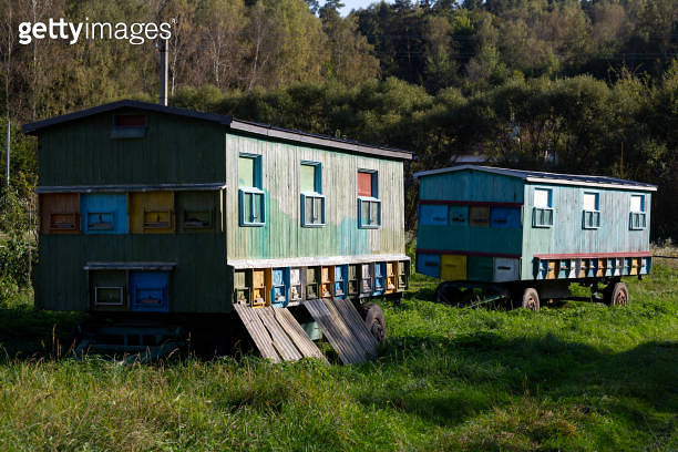 Large trailers are equipped under beehives for transportation. Mobile ...