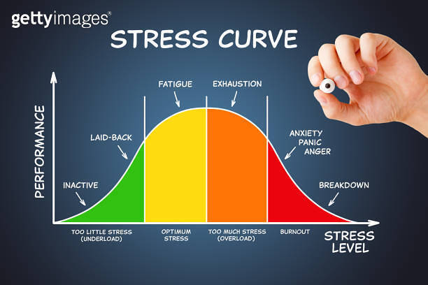 Stress Curve Graph Diagram With Different Stages 이미지 (2149358663) - 게티이미지뱅크