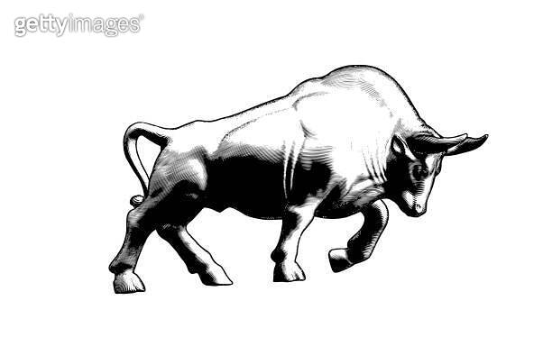 Bull running gore engraving isolated on white BG 이미지 (2019786397) - 게티이미지뱅크