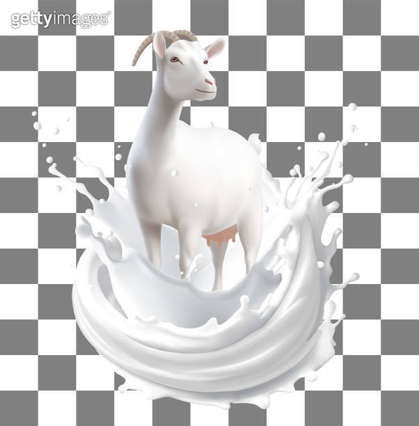 Dairy poster. Milk products Goat and splash of milk as a 3d vector ...