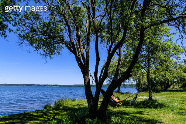 Magnificent landscape of Lake Soustons in southwest France with a ...
