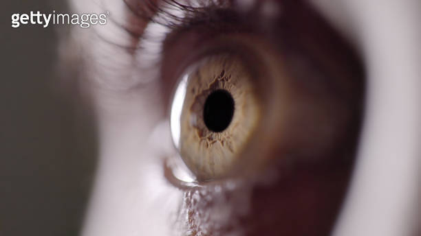 Woman, vision and macro profile of eye for healthcare, optometry and ...