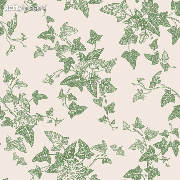 Floral seamless pattern with ivy 이미지 (1733566441) - 게티이미지뱅크