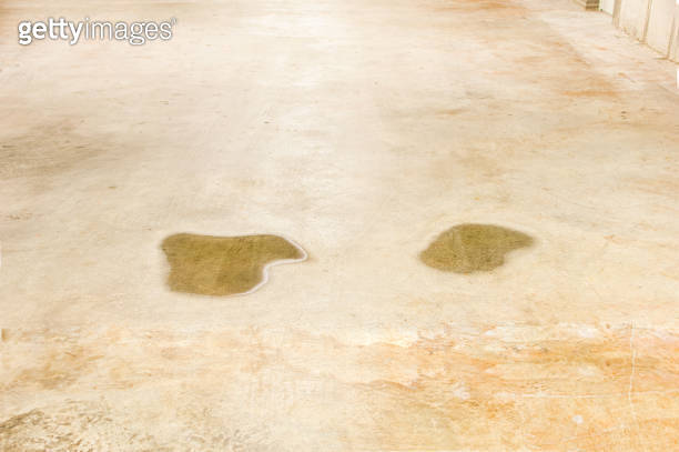 water puddle on the floor inside a building 이미지 (2169713039) - 게티이미지뱅크