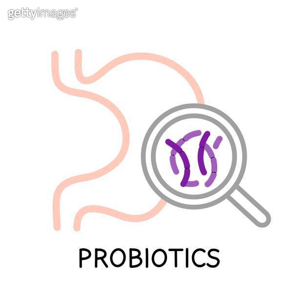 Stomach and Probiotics. Different colorful microbiome and microbiota ...