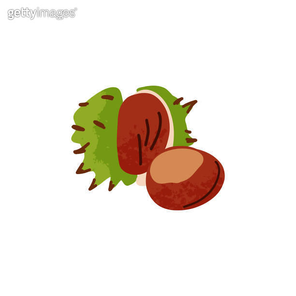 Cartoon chestnut. Nuts in shell and peeled pieces. Healthy food. Diet ...