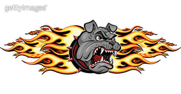 Angry bulldog head in flame of fireball 이미지 (2022926357) - 게티이미지뱅크
