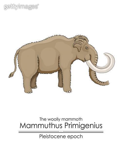 The woolly mammoth Mammuthus Primigenius (2148508451) - 게티이미지뱅크