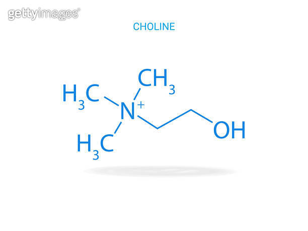 Choline Molecular Structure Diagram (2162067438) 일러스트, 무료 일러스트 - 게티이미지뱅크