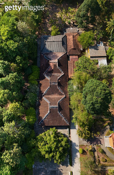 Aerial view of Mekong Delta, Ben Tre tourist with large ancient tree ...
