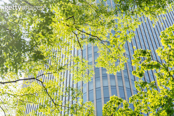 Sustainable green buildings. environmentally friendly buildings Green ...