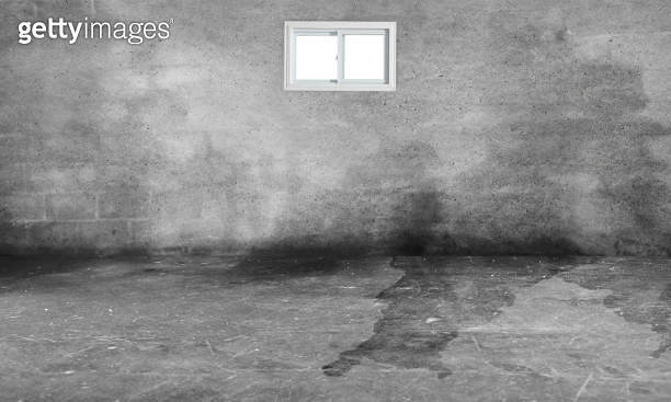 Wet and damp basement with a window and concrete walls and floors. 이미지 ...