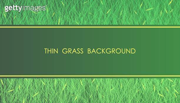 Horizontal green herb abstract background with prairie field, cover ...