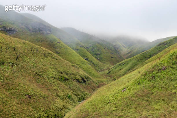 The dzukou valley is located at the border of the Indian states of ...
