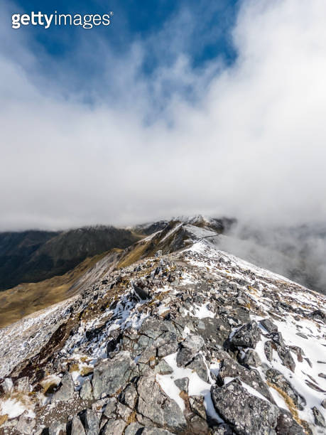 Kepler Track Alpine Landscape featuring Tussock-Covered Ridgelines in ...