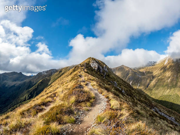 Kepler Track Alpine Landscape featuring Tussock-Covered Ridgelines in ...