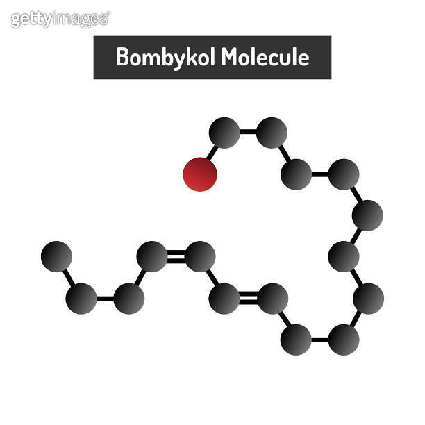 Bombykol Molecule - Insect Pheromone and Its Role in Moth Communication ...