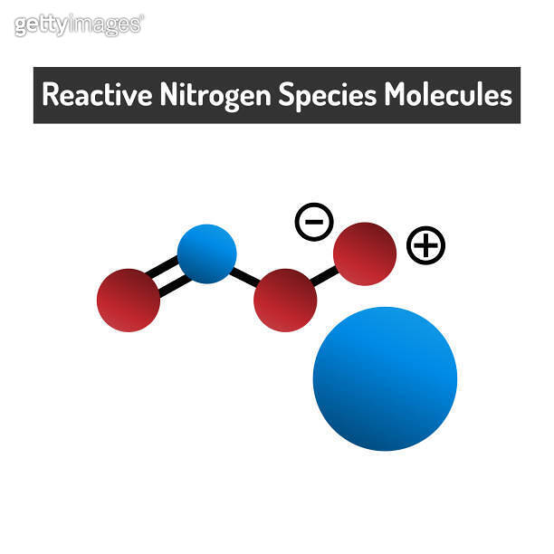Reactive Nitrogen Species Molecules - Their Biological Roles and ...