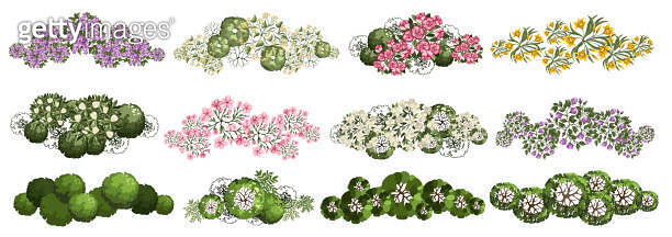 Blossom Trees for architectural floor plans. Entourage design. Various ...