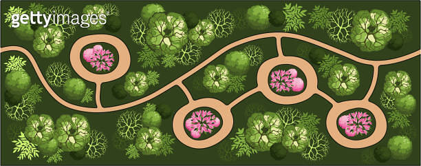 Top view park landscape for architectural floor plans. Entourage design ...