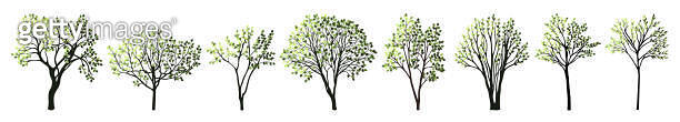 Tree silhouettes for the landscape design. Entourage design. Vector ...