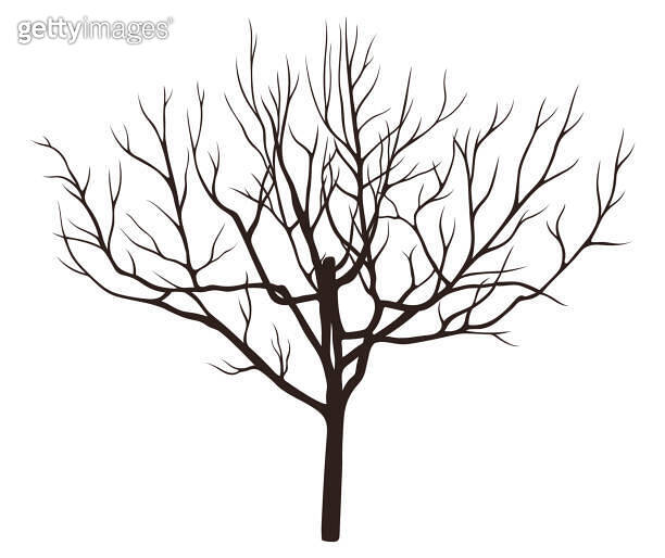 Tree silhouette for the landscape design. Entourage design. Vector ...
