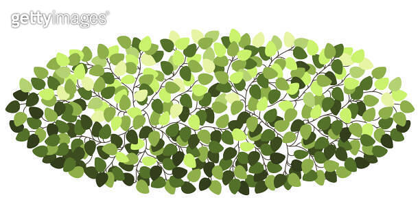 Bush for architectural floor plans. Entourage design. Top view tree for ...