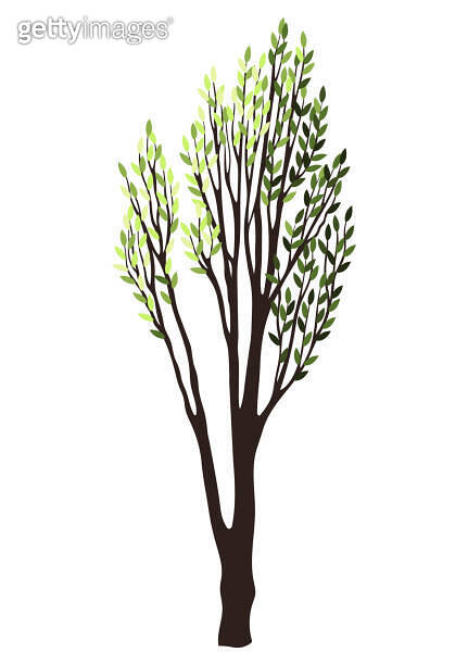 Tree silhouette for the landscape design. Entourage design. Vector ...