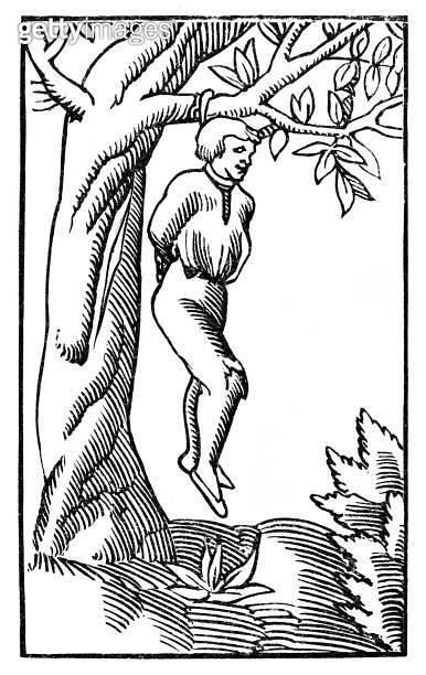 Man being executed by hanging on tree in 1552 woodcut
