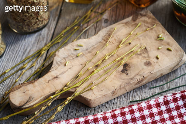 Young willow branches with buds harvested in early spring - ingredient ...