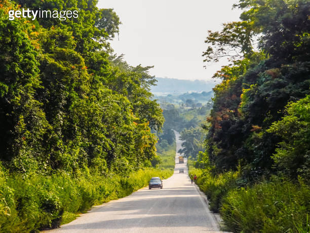 Road Through The Mayombe Forest (Floresta de Mayombe) In DR Congo 이미지 ...