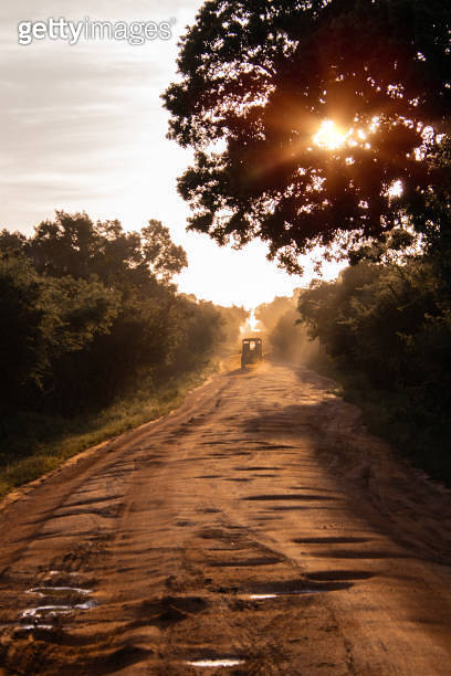 Safari jeep driving at sunset golden hour in Yala National Park jungle ...