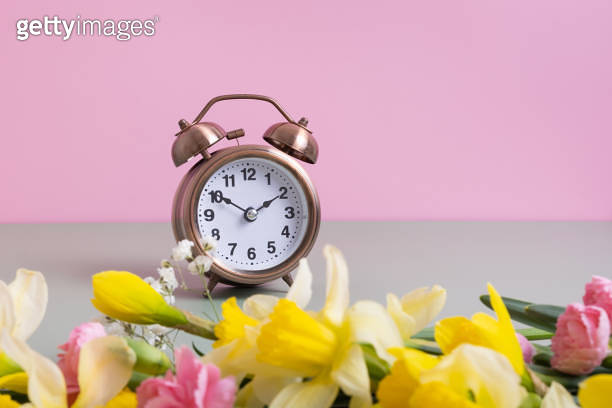 Alarm clock with flowers on pink background. Spring time, daylight ...