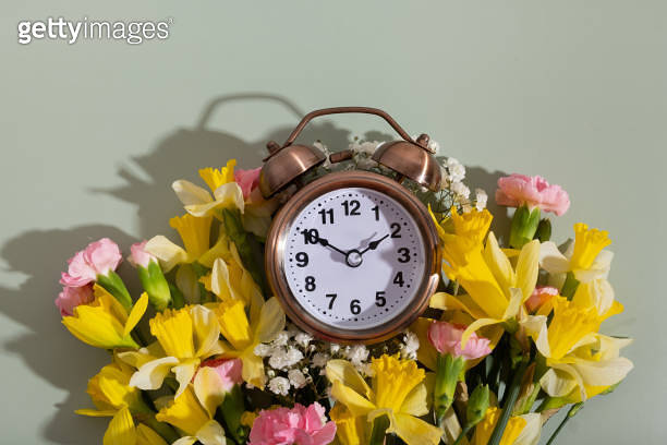 Alarm clock with spring flowers. Spring time, daylight savings concept ...